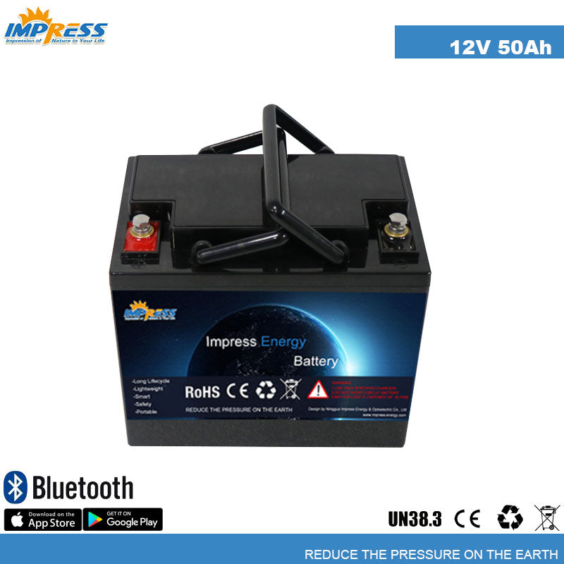 RLB-12V 50Ah Lithium ion Battery Backup Power Supply @ Impress Energy ...